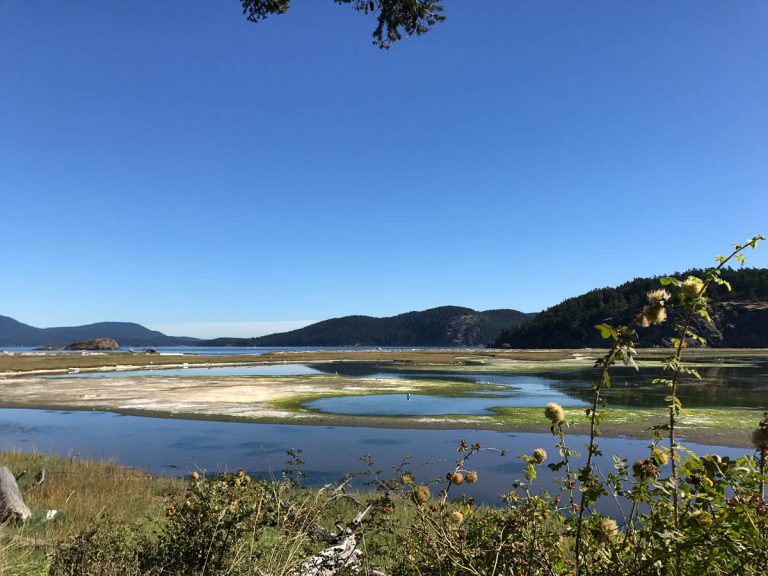 A day on Lopez Island | Mon Petit Seattle